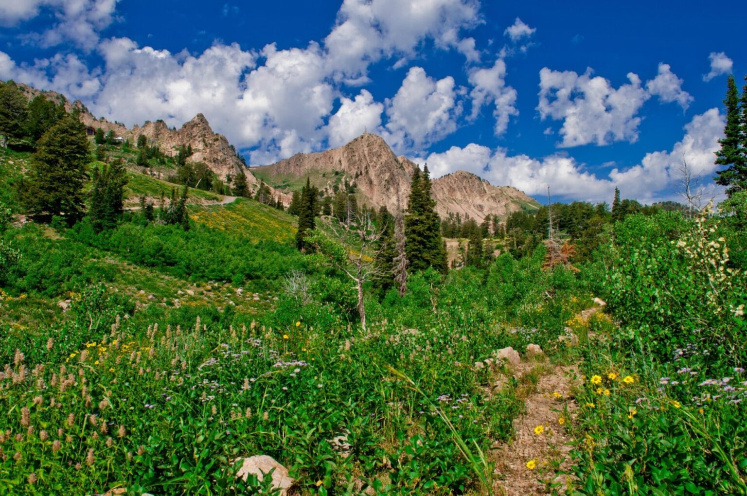 UTMB World Series trail running circuit announces new stop in Utah ...